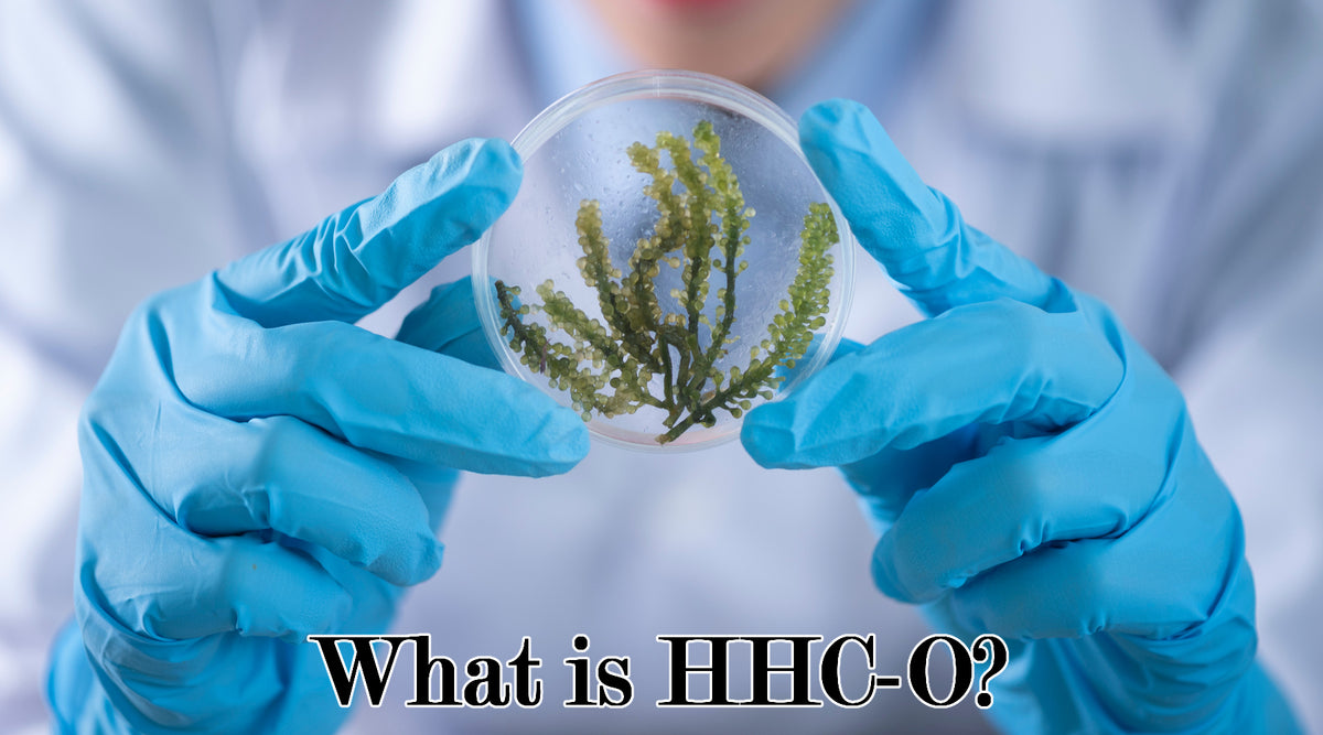 What is HHC-O? Insight into Synthetic Cannabinoids – Ethereal Gold ...