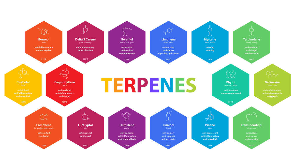 Terpene Chart: The Guide to Enhancing Your Cannabis Experience ...