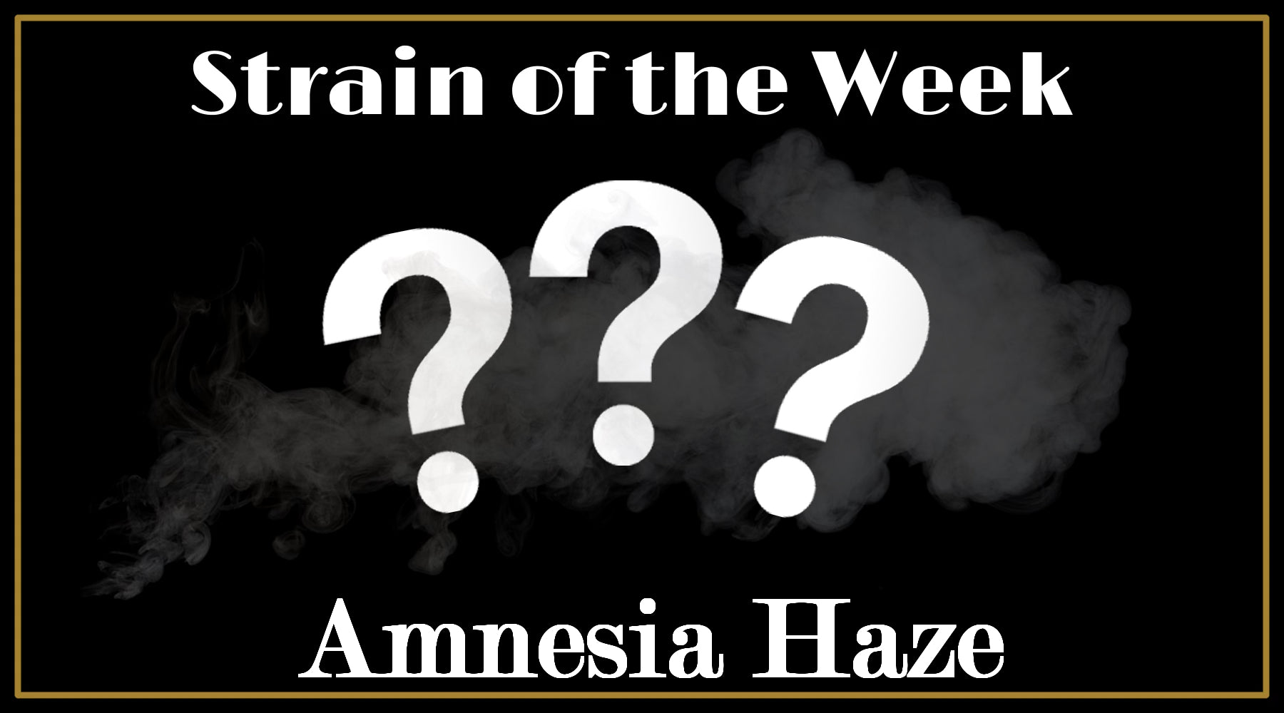 Strain of the Week: Amnesia Haze – Ethereal Gold Dispensary