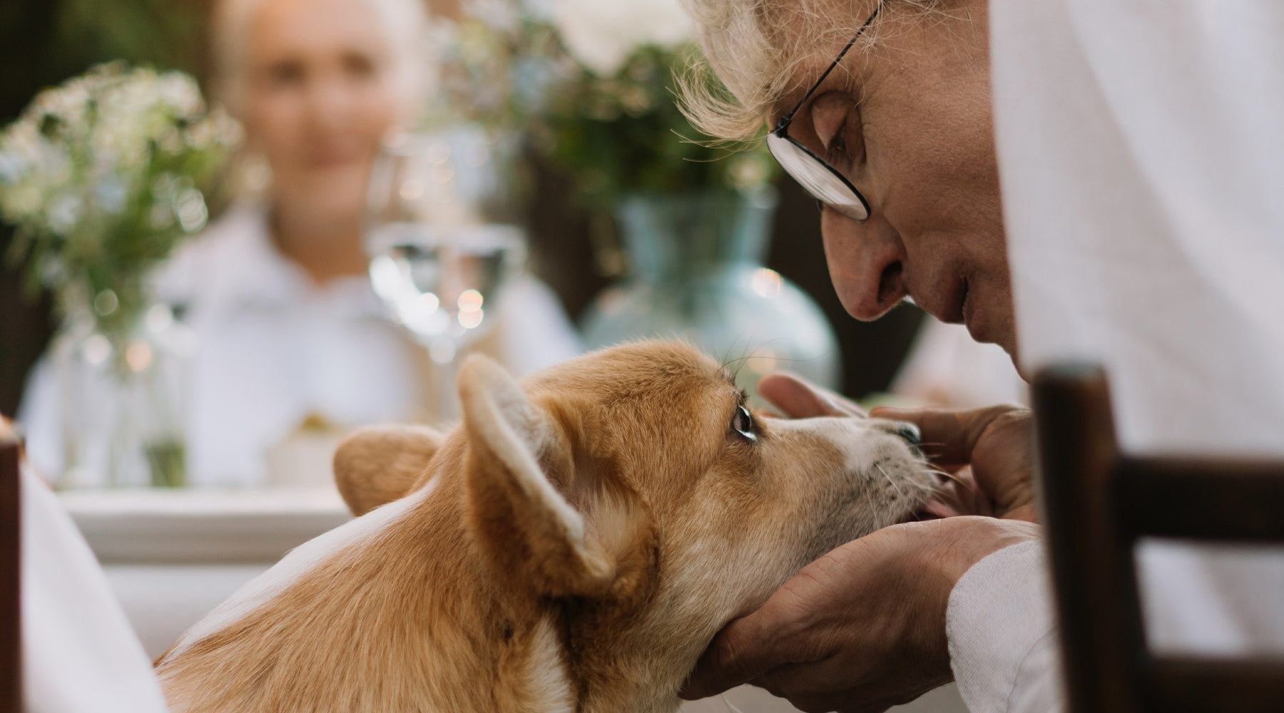 Can you Give Dogs CBD? A Guide for Beginners – Ethereal Gold Dispensary